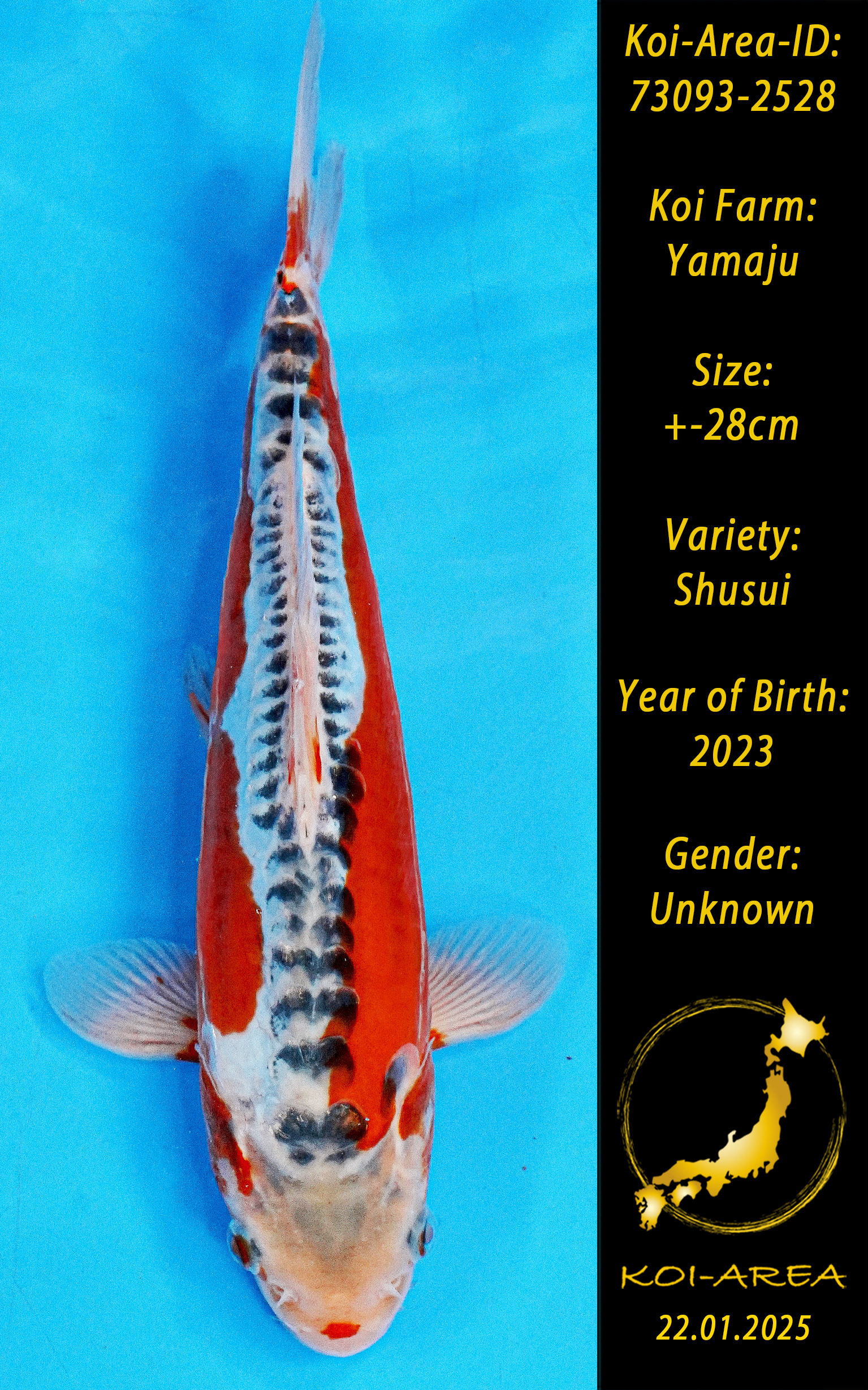 73093-2528 | Koi-Area.de